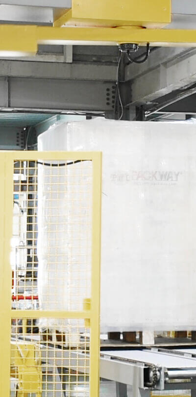 Special Automatic Box/Carton Strapping Machine - PACKWAY